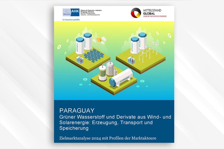Hidrógeno verde y derivados a partir de energía eólica y solar: Producción, transporte y ...